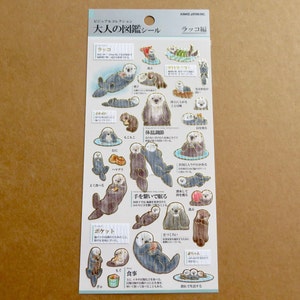 Kamio ADULT VISUAL DICTIONARY Stickers, Otter Seal Sea Lion Stickers ...