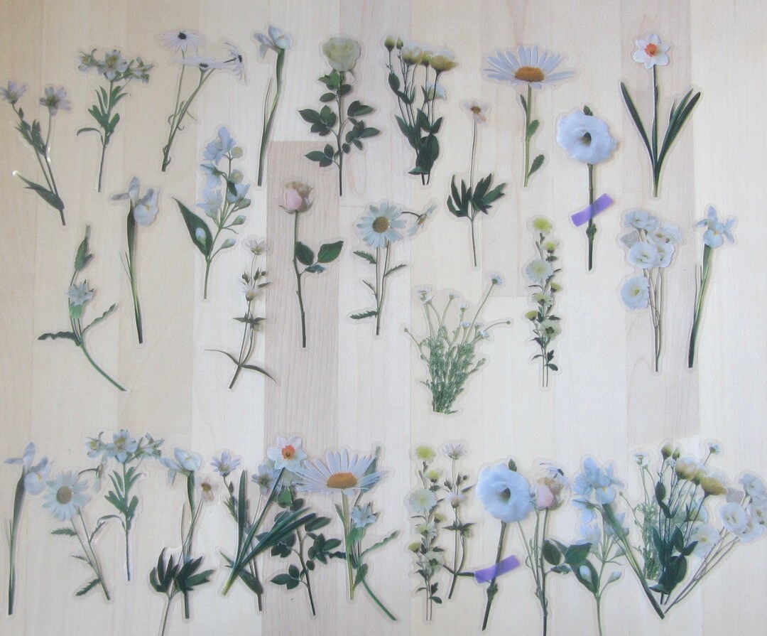Wildflower White Realistic Flower Stickers, Nature Garden Woodland ...