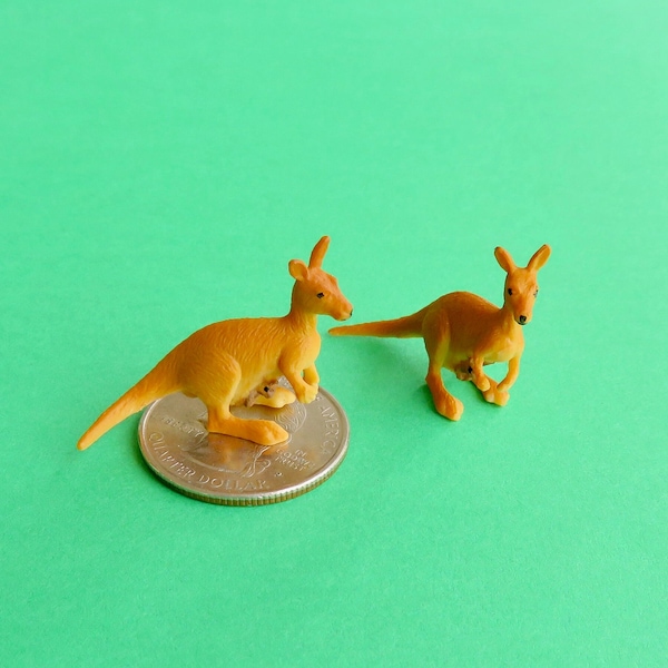 Miniature Kangaroo - Etsy