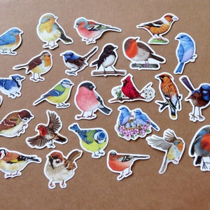 25 Song Large Bird Stickers, Birding Ornithology Realistic Bird Planner ...