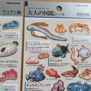 Kamio ADULT VISUAL DICTIONARY Stickers, Tropical Fish Deep Sea Slug ...