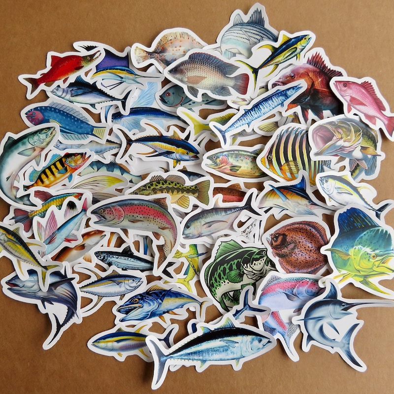 Fish Stickers - Etsy