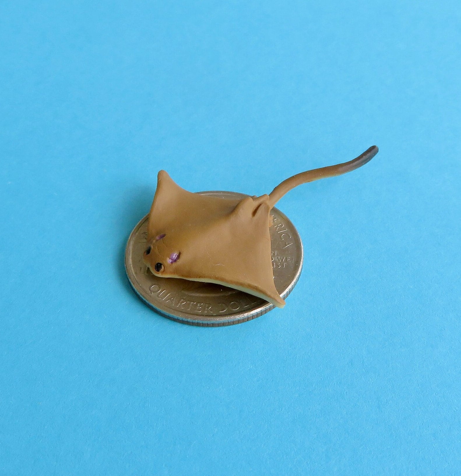 Miniature Cownose Stingray - Mini Ocean Terrarium Supplies - Teeny Tiny ...