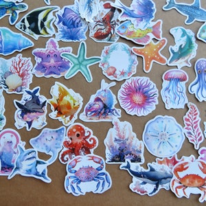 100 Watercolor Ocean Theme Stickers, Whale Turtle Octopus Coral Reef ...