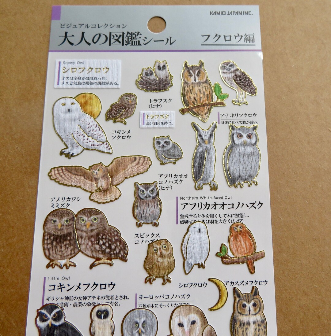 Kamio Animals ADULT VISUAL DICTIONARY Stickers, Owl Stickers, Gold Foil ...
