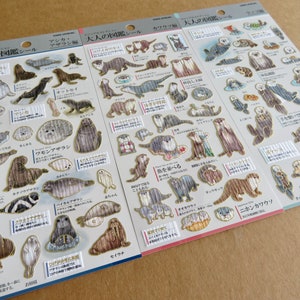 Kamio ADULT VISUAL DICTIONARY Stickers, Otter Seal Sea Lion Stickers ...