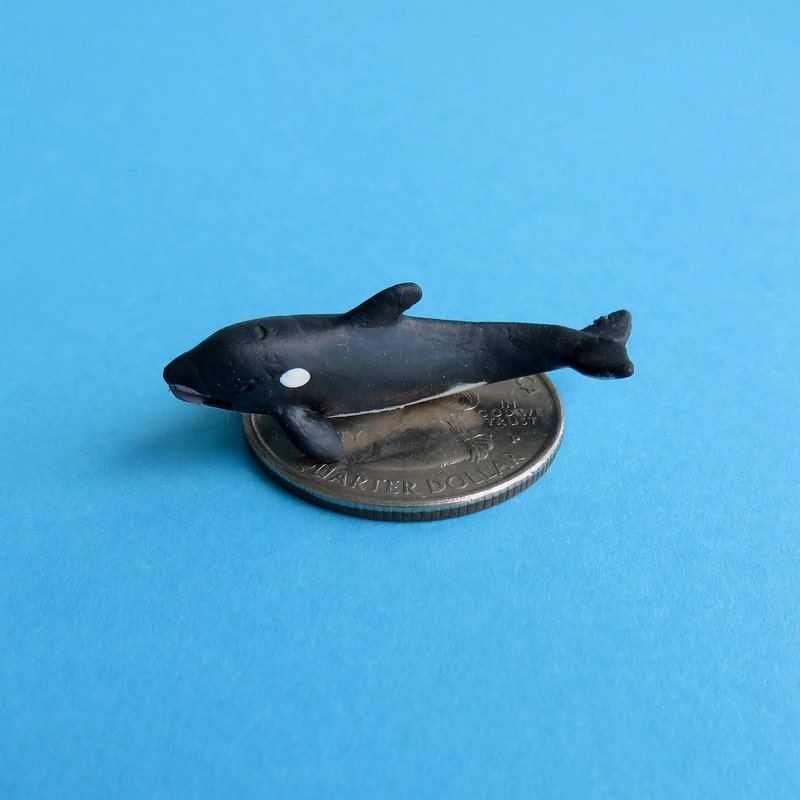 Miniature Whale - Etsy