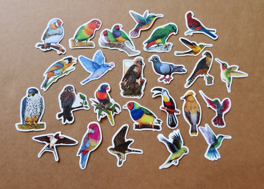 25 Large Bird Stickers, Birding Ornithology Realistic Planner Journal ...