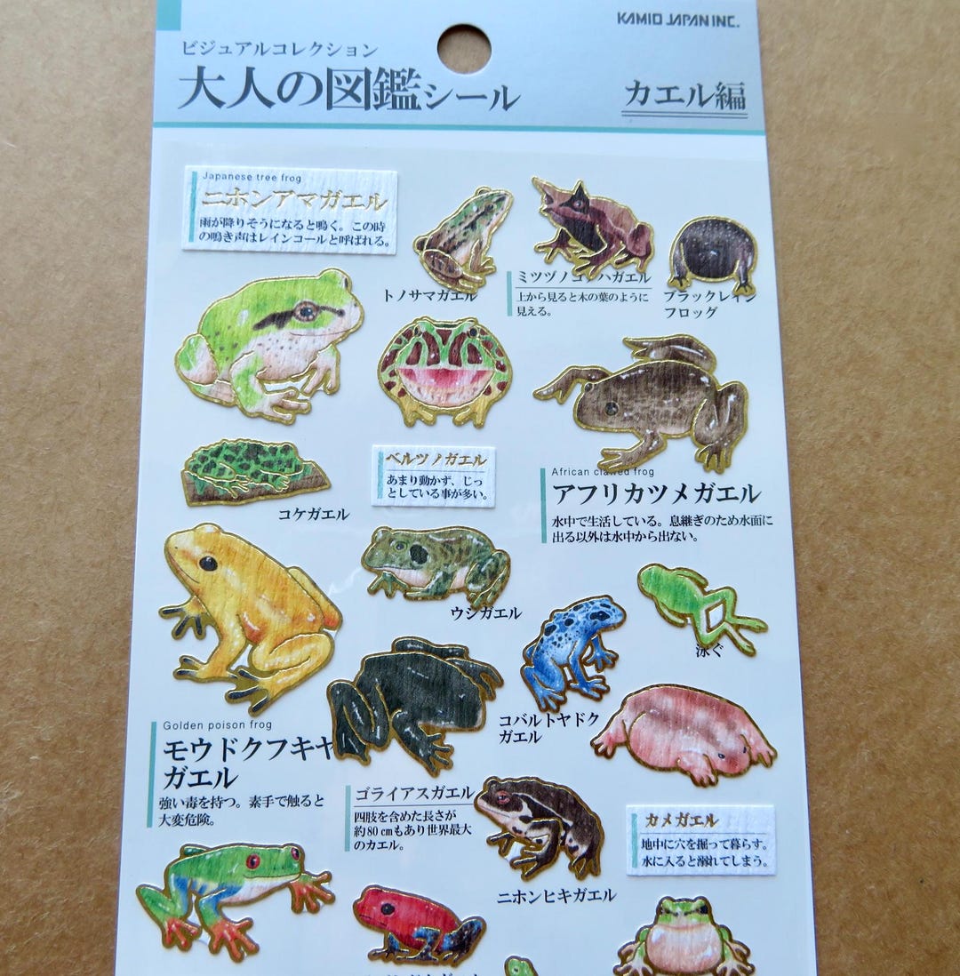 Kamio Animals ADULT VISUAL DICTIONARY Stickers, Amphibian Stickers ...