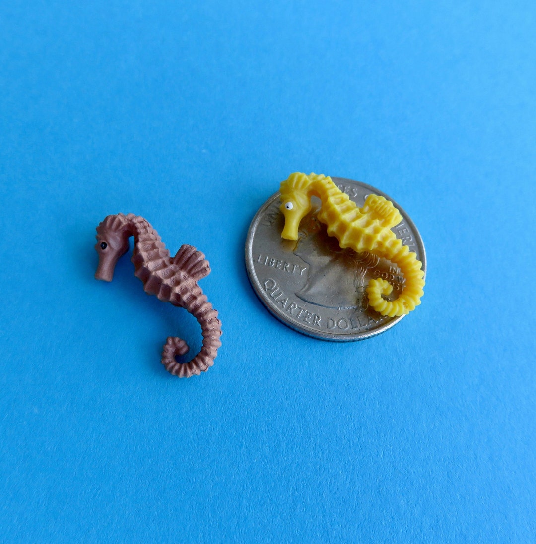Miniature Seahorse Sea Animals - Mini Oceanterrarium Supplies - Teeny ...