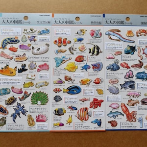Kamio ADULT VISUAL DICTIONARY Stickers, Tropical Fish Deep Sea Slug ...