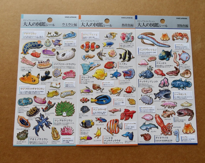 Kamio ADULT VISUAL DICTIONARY Stickers, Tropical Fish Deep Sea Slug ...