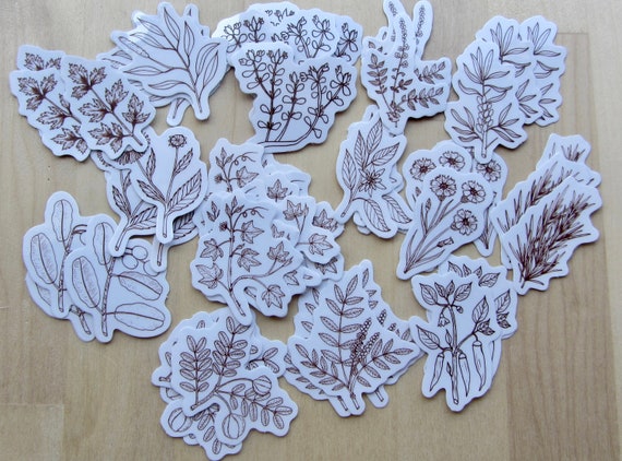 45 Leaf Fern Stickers Kawaii Tree Stickers Cute Nature Label - Etsy