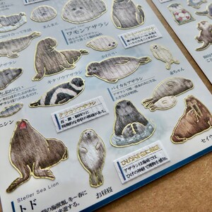 Kamio ADULT VISUAL DICTIONARY Stickers, Otter Seal Sea Lion Stickers ...