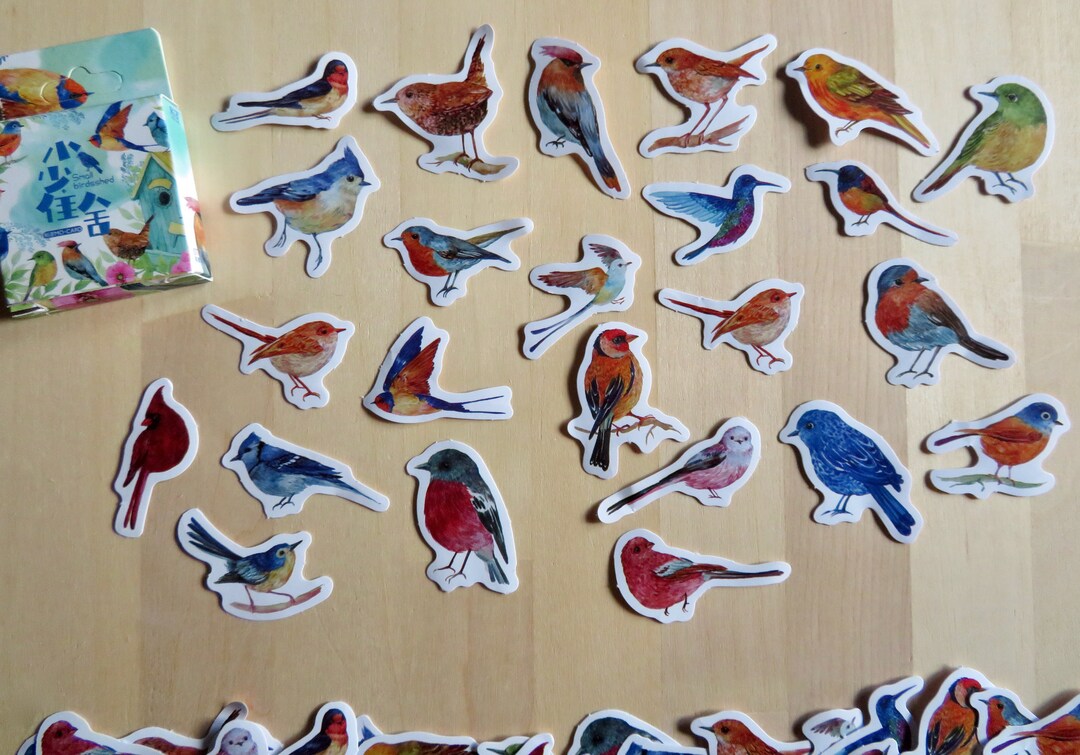46 Song Bird Stickers, Bird Theme Planner Journal Stickers, Bird Lover ...