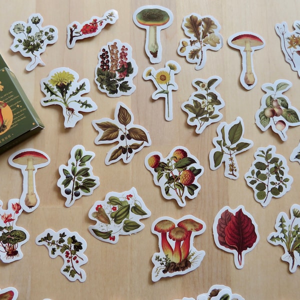 Nature Stickers - Etsy