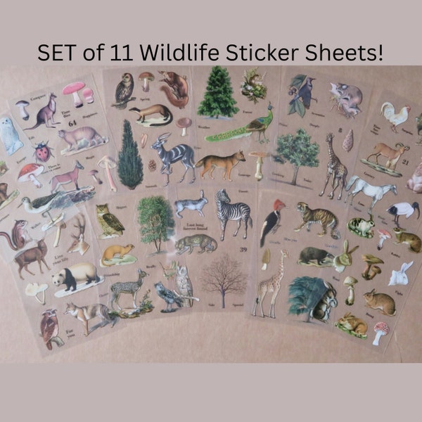 Realistic Animals - Etsy