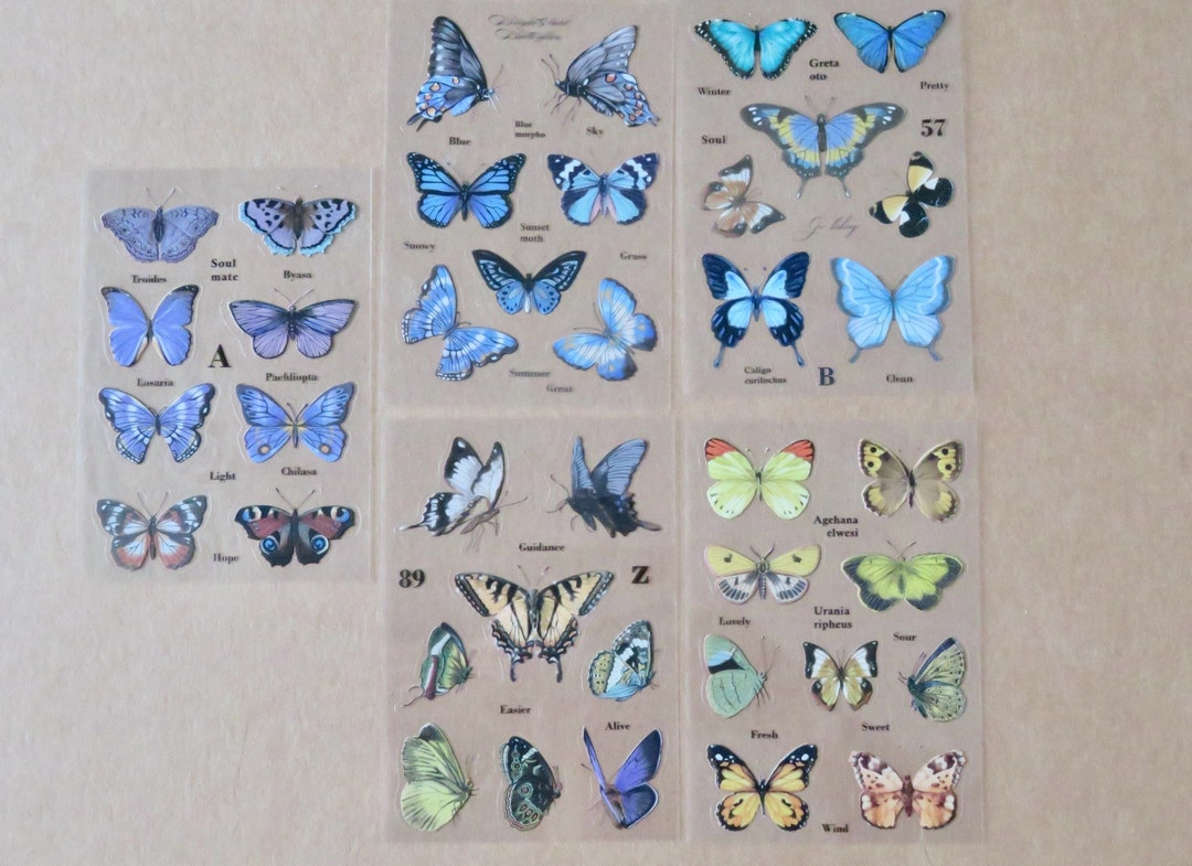 SET Blue & Yellow Butterfly Sticker Sheets, Lepidopterology Stickers ...