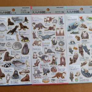 Kamio ADULT VISUAL DICTIONARY Stickers, Otter Seal Sea Lion Stickers ...
