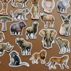 50 Safari Animal Stickers, Exotic Animals Planner Journal Diary ...
