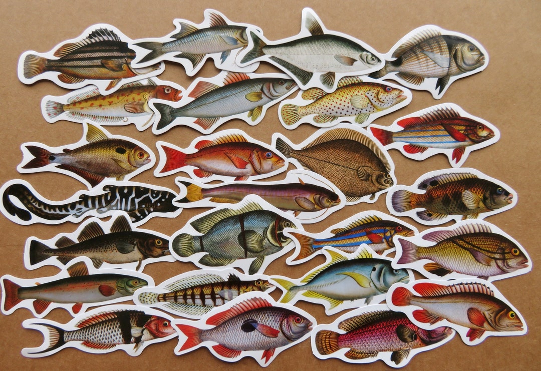 25 Illustrated Fish Stickers, Aquatic Fish Planner Journal Scrapbooking ...