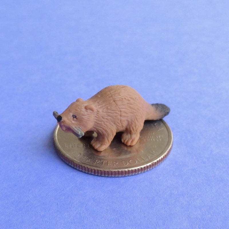 Miniature Beaver - Etsy
