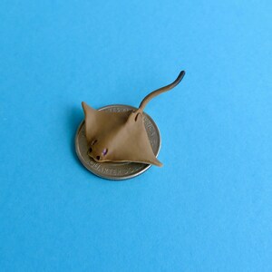 Miniature Cownose Stingray - Mini Ocean Terrarium Supplies - Teeny Tiny ...