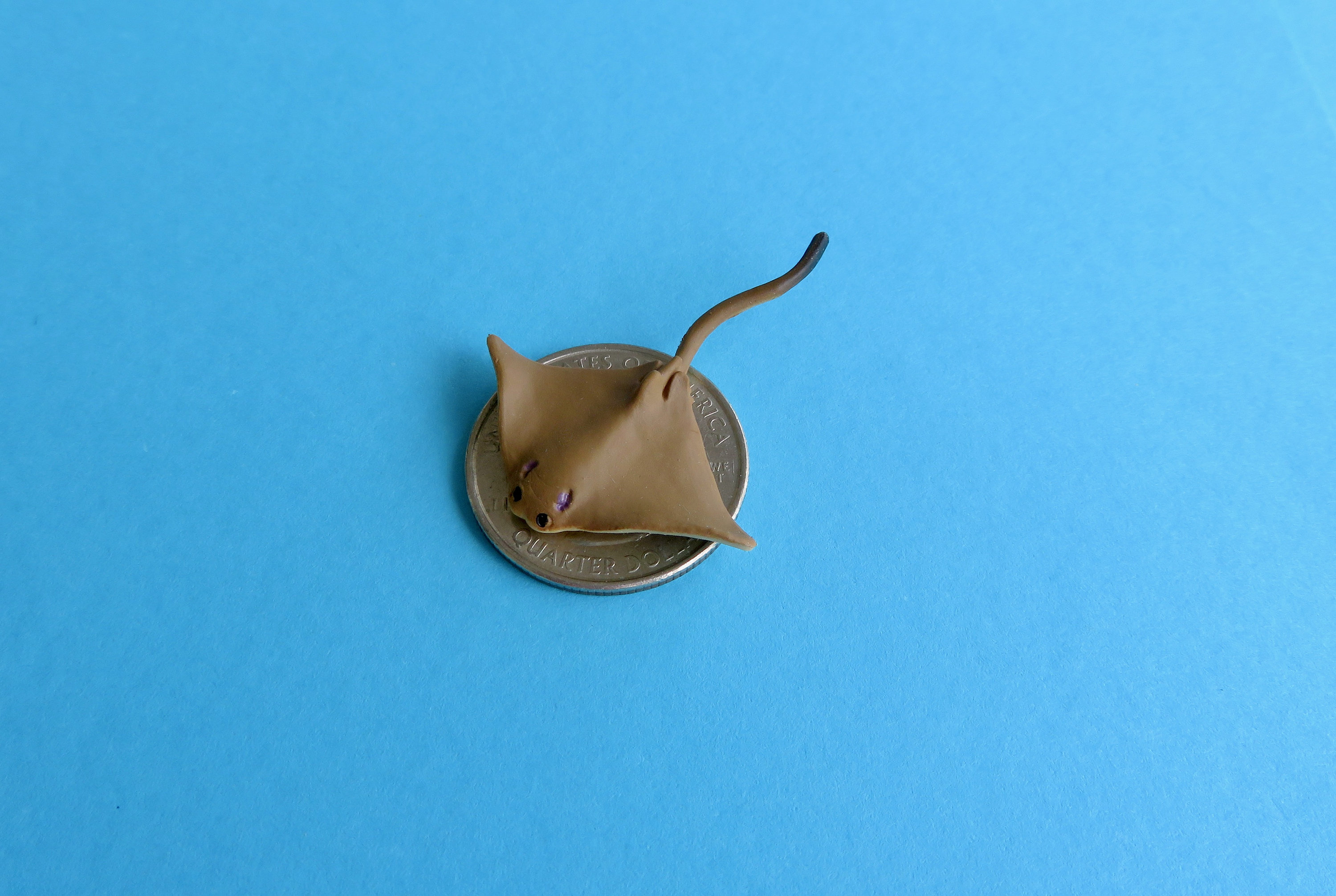 Miniature Cownose Stingray - Mini Ocean Terrarium Supplies - Teeny Tiny ...