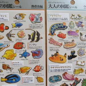 Kamio ADULT VISUAL DICTIONARY Stickers, Tropical Fish Deep Sea Slug ...