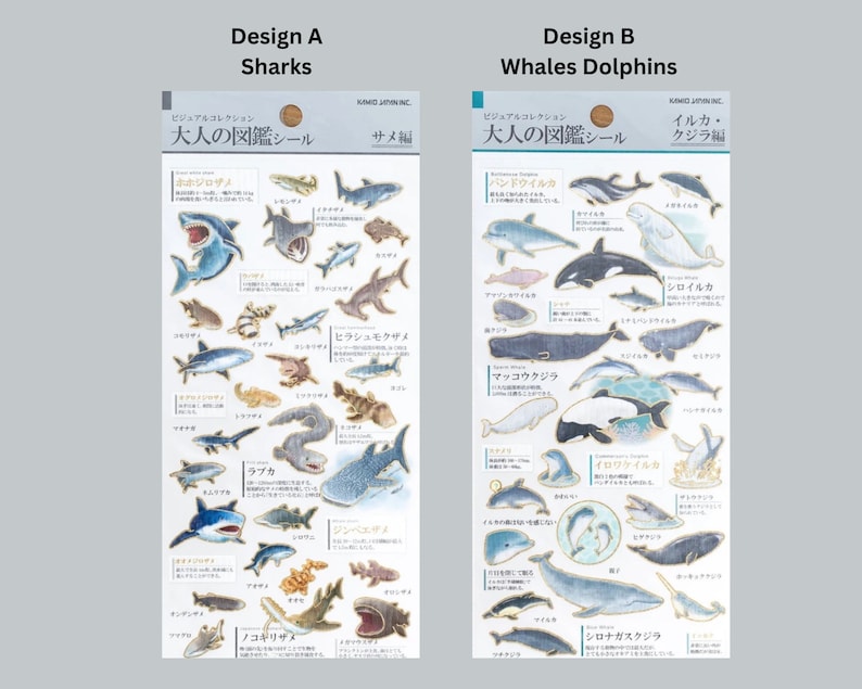 Kamio ADULT VISUAL DICTIONARY Stickers, Shark Dolphin & Whale Stickers ...