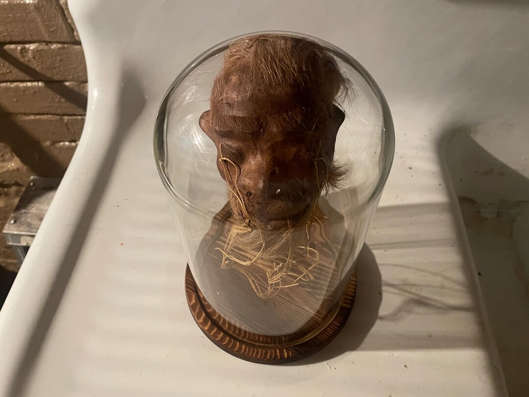 Oddities & Morbid Oddity: Jivaro Shrunken Head -tsantsa Ecuadorian in a ...