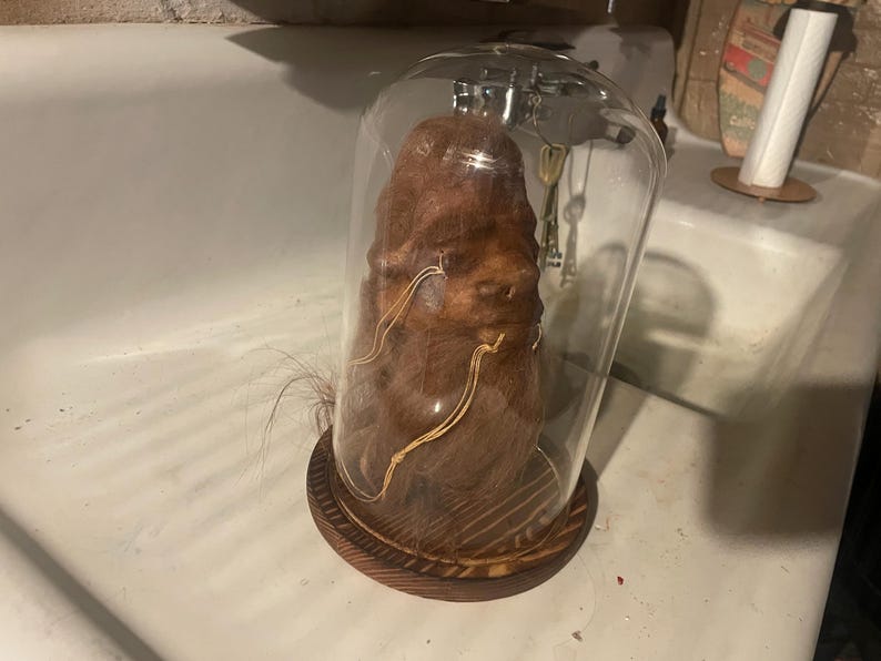 Oddities & Morbid Oddity: Jivaro Shrunken Head -tsantsa Ecuadorian in a ...