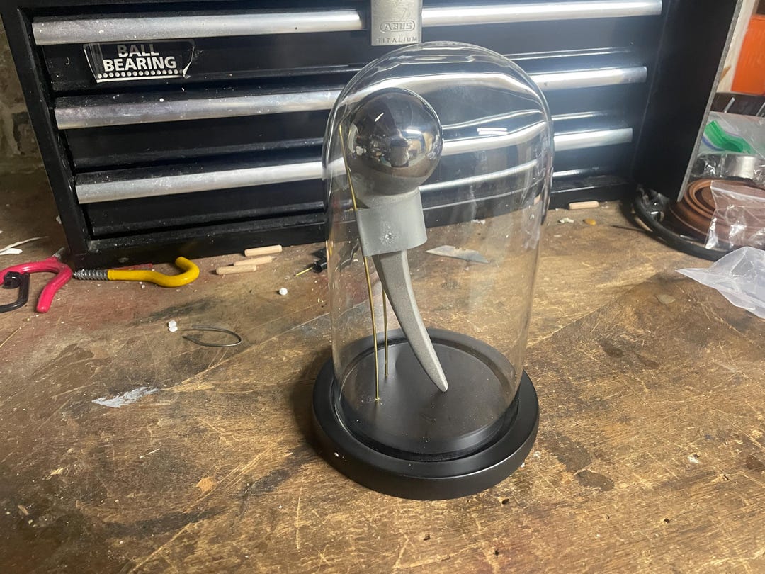 Medical Science Oddity: Hip Joint in a Glass Dome Gothic Oddity - Etsy