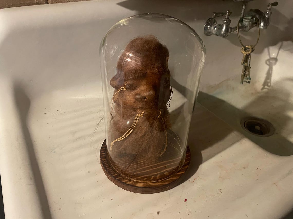 Oddities & Morbid Oddity: Jivaro Shrunken Head -tsantsa Ecuadorian in a ...