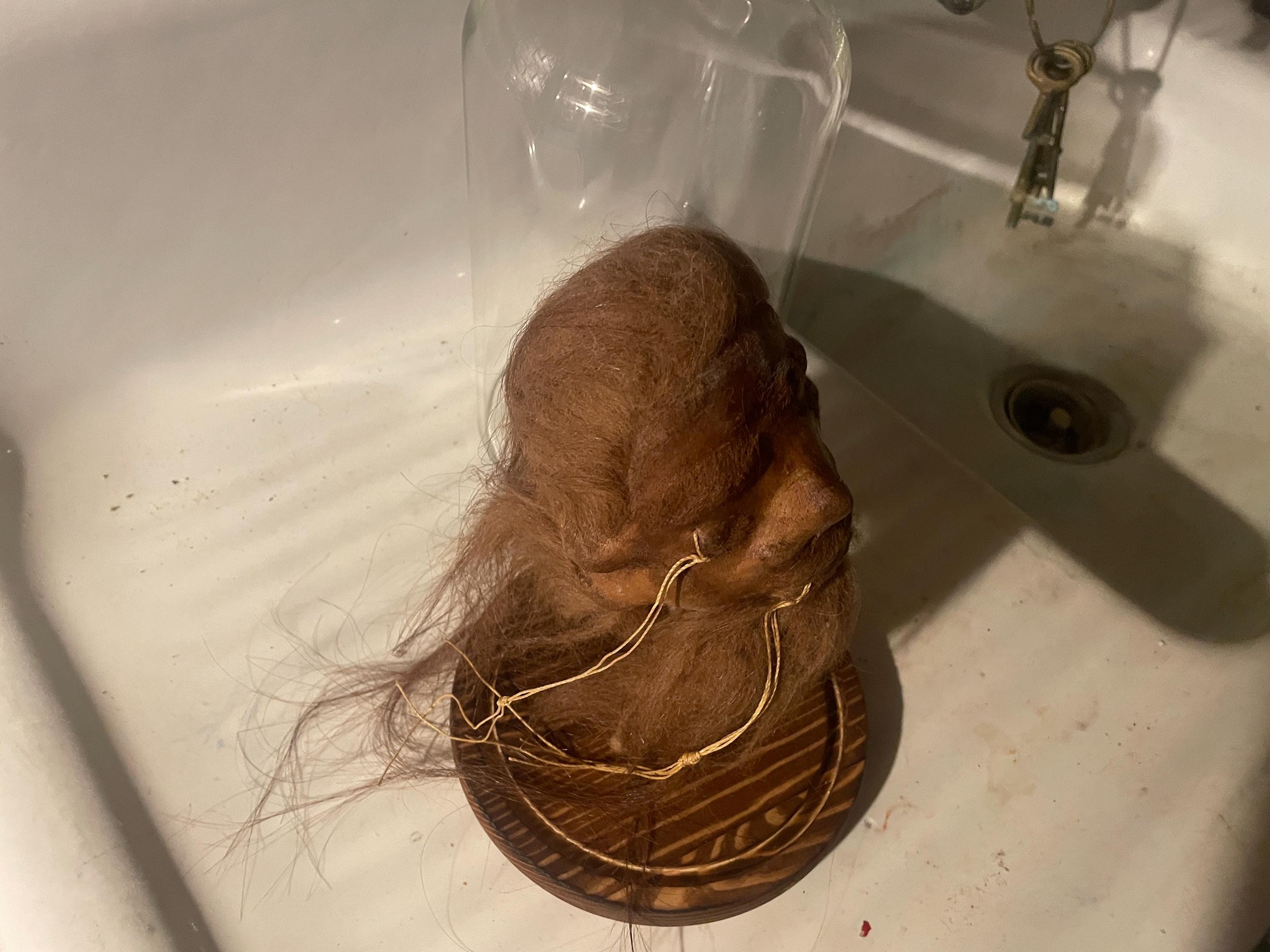 Oddities & Morbid Oddity: Jivaro Shrunken Head -tsantsa Ecuadorian in a ...
