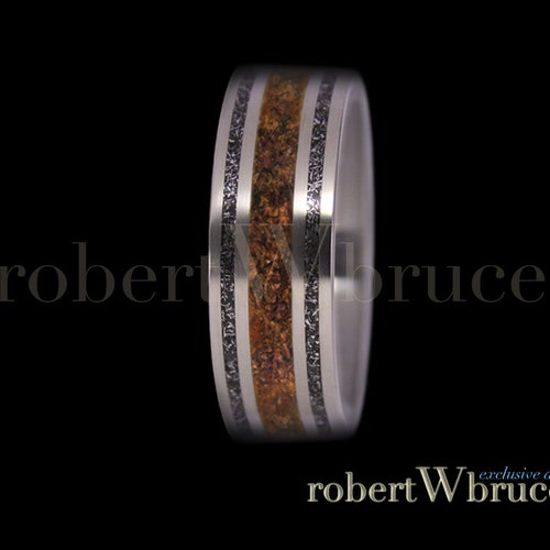 Tyrannosaurus Rex & Meteorite Ring Set Titanium Ring Dinosaur - Etsy