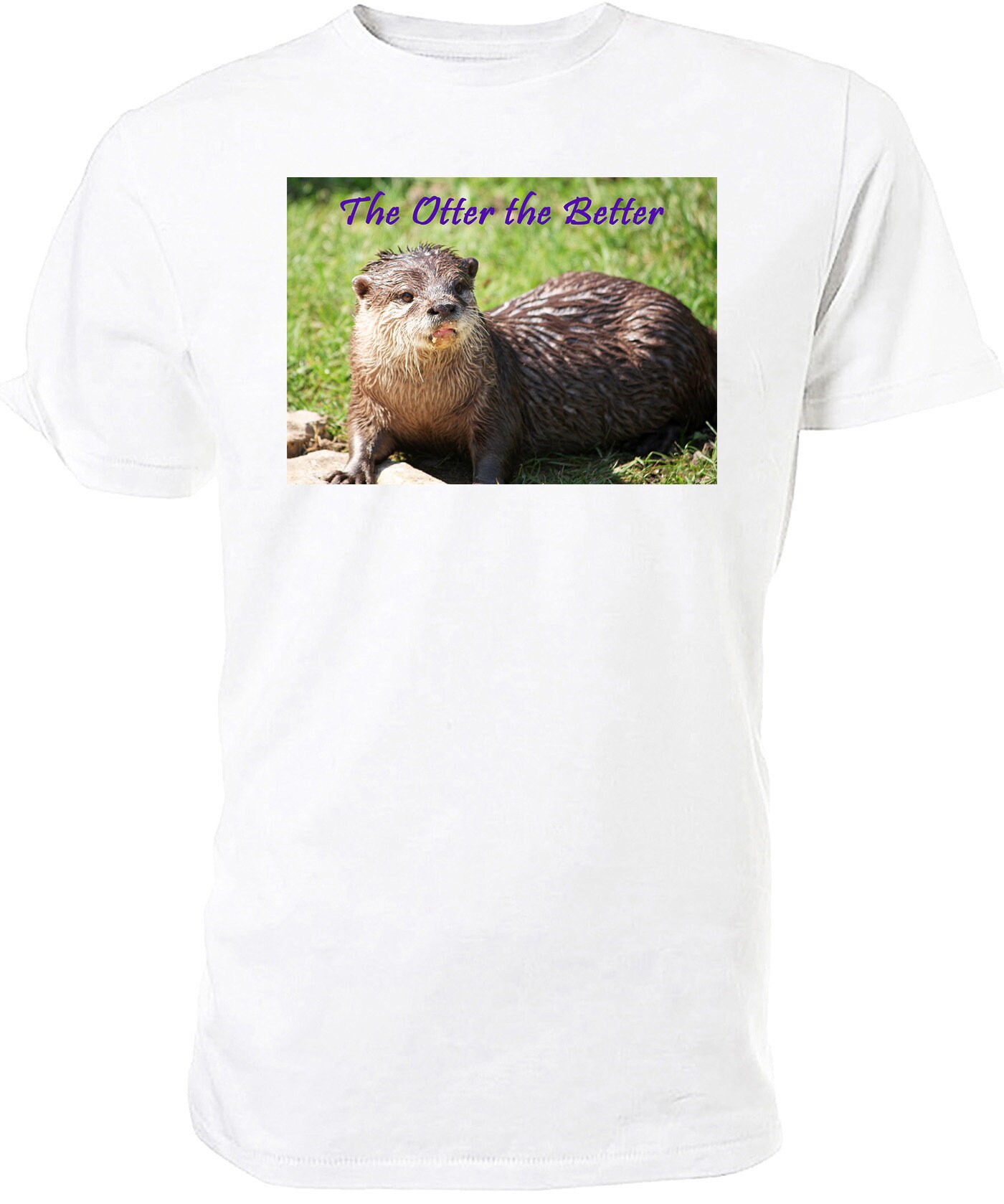 Otter T Shirt. Classic Round Neck Short Sleeved Choice of - Etsy UK