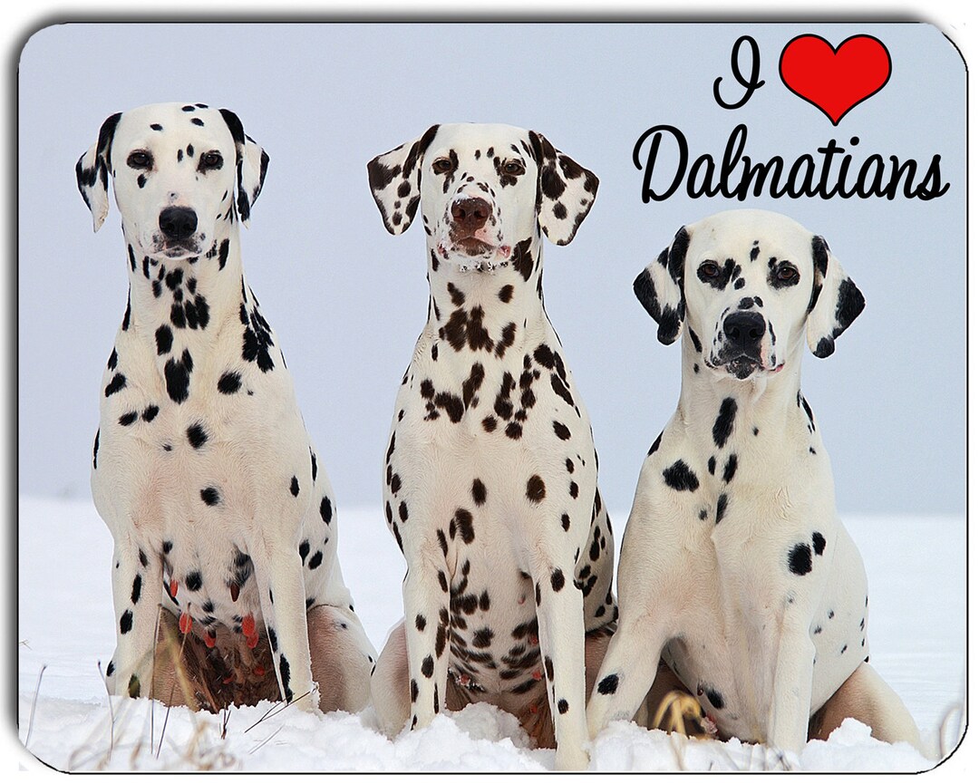I Love Dalmatians Mouse Mat, Mouse Pad - Etsy