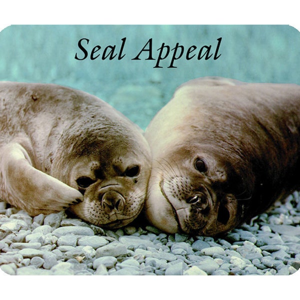 Seal Mouse Pad - Etsy