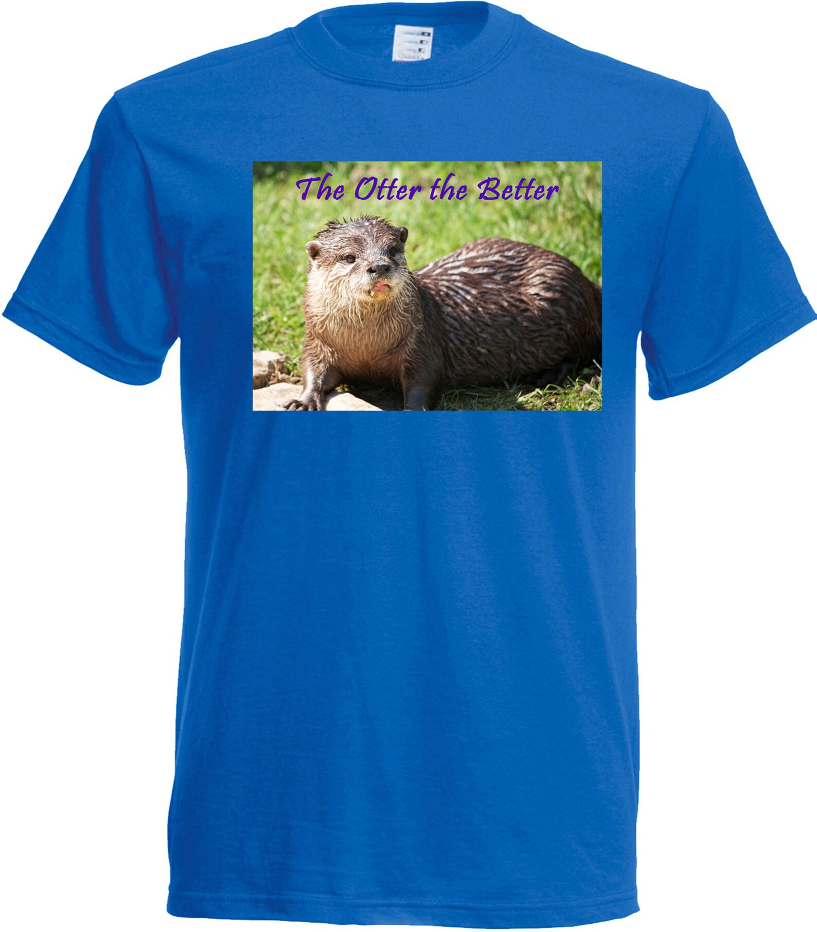 Otter T Shirt. Classic Round Neck Short Sleeved Choice of - Etsy UK