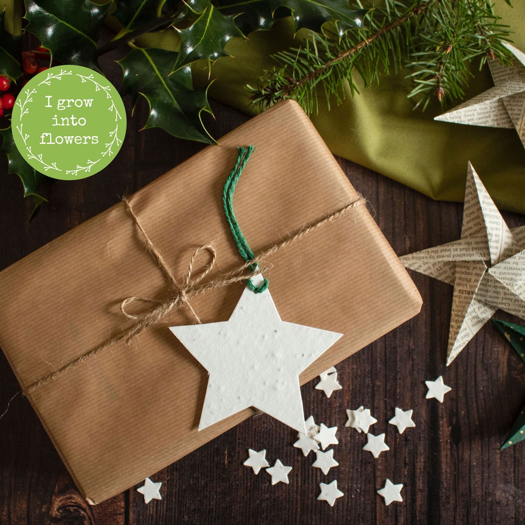Plantable Large Christmas Star Gift Tags Pack of 6, Christmas Tags ...