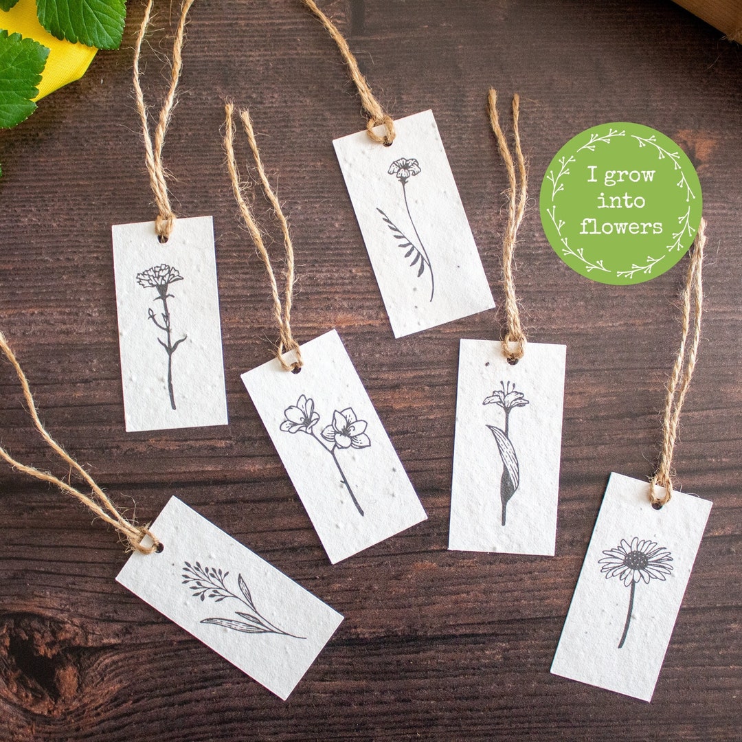 Plantable Gift Tags - Flower Design - Set of 6, Eco-friendly Gift Tags ...