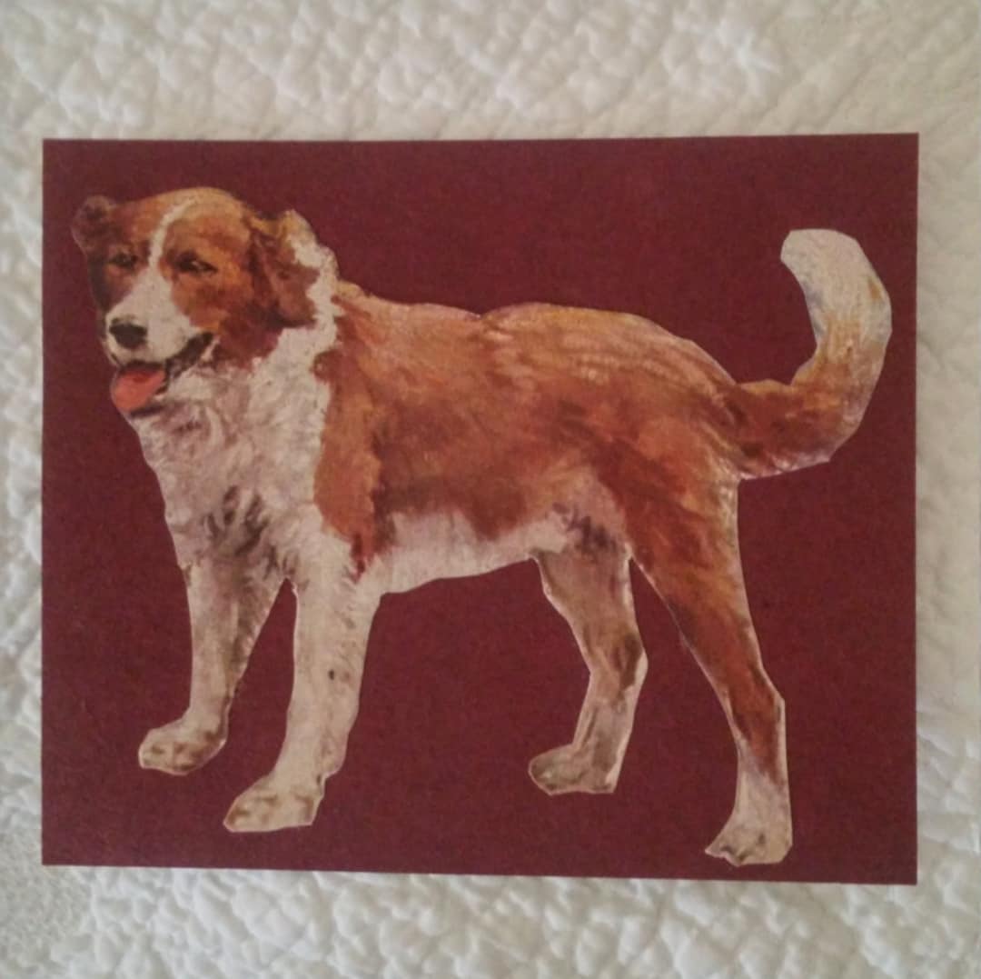 Vintage St. Bernard Dog Ephemera Scrap - Etsy