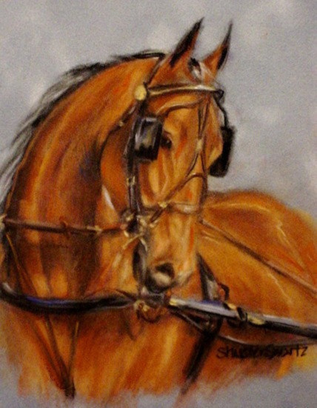 American Saddle Bred ASB DRIVING HORSE in Harness 5x7" Matted Signed ...