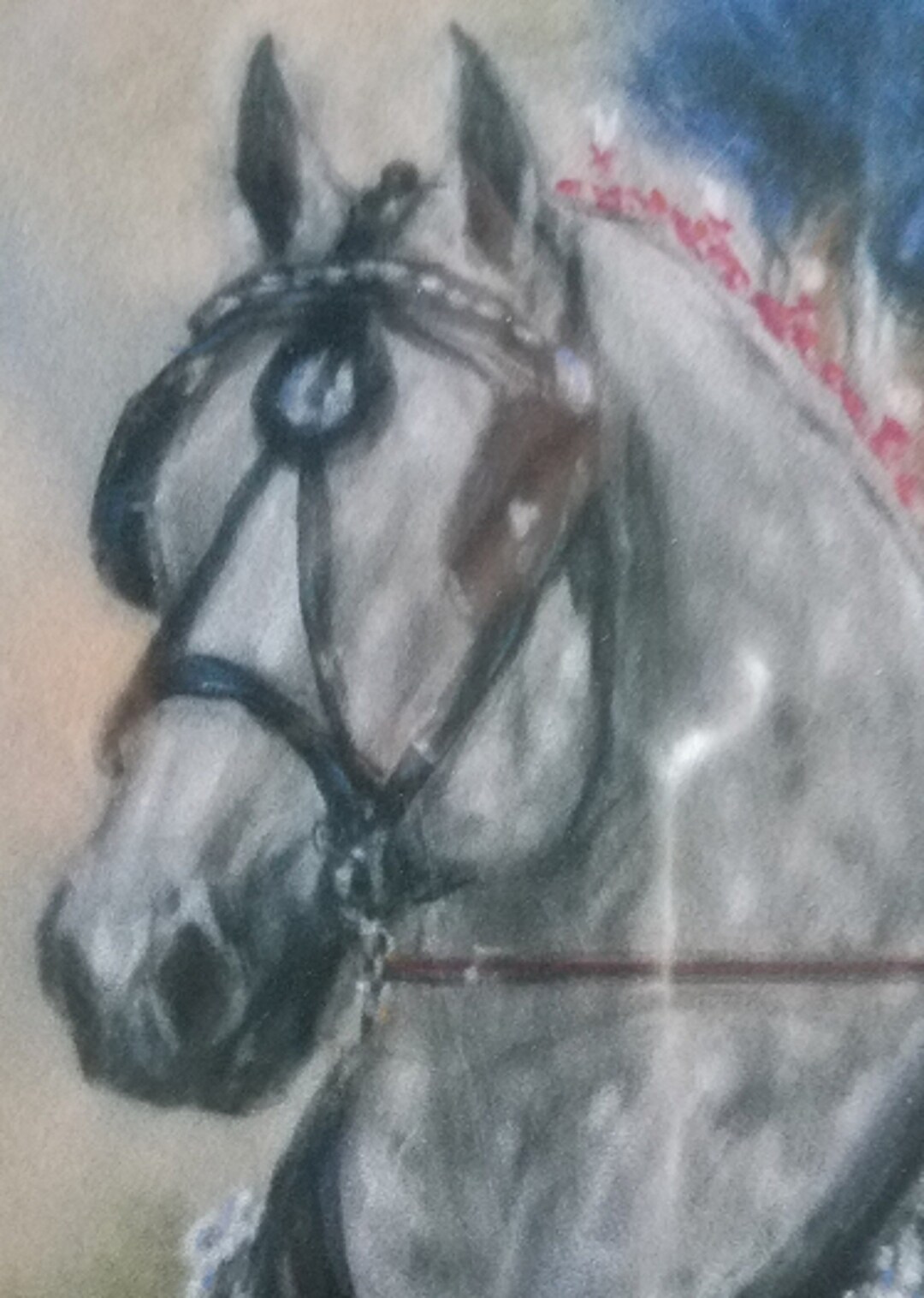 GRAY PERCHERON Hitch Horse Art 5x7 Matted Signed Print Ready to Frame ...