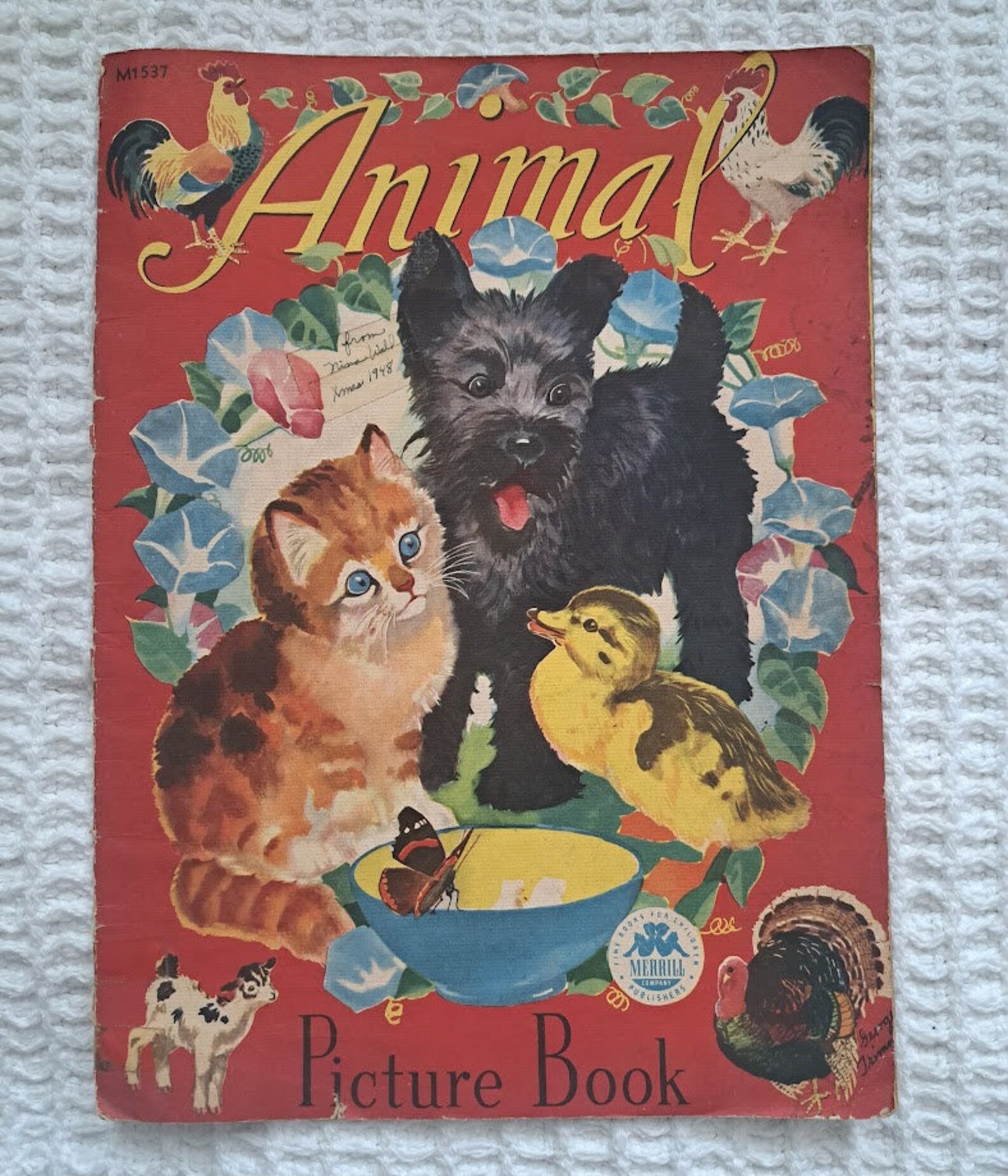 RARE 1946 Animal Picture Book Merrill Company Publishers 1940s - Etsy