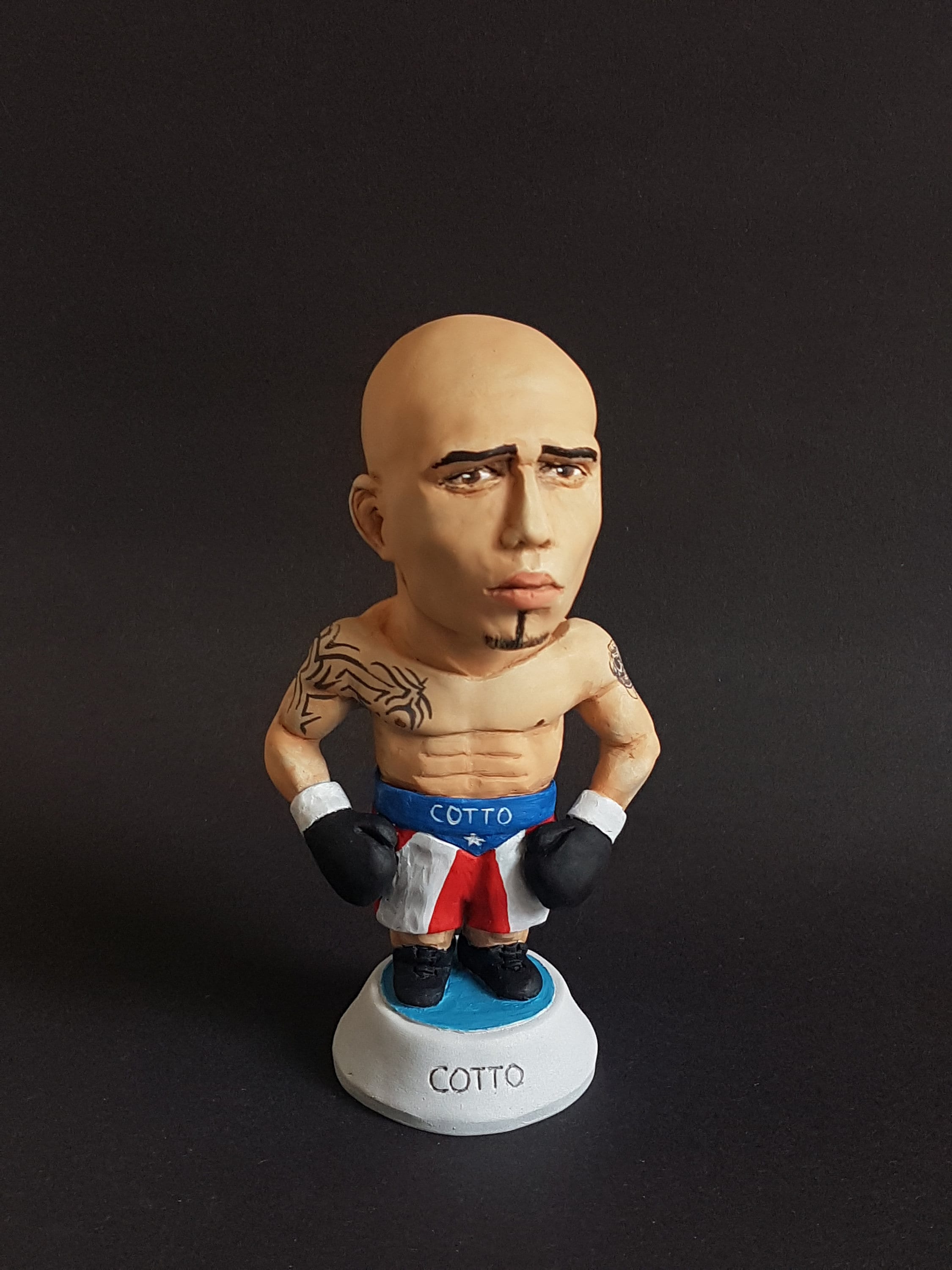 Miguel Cotto Kids