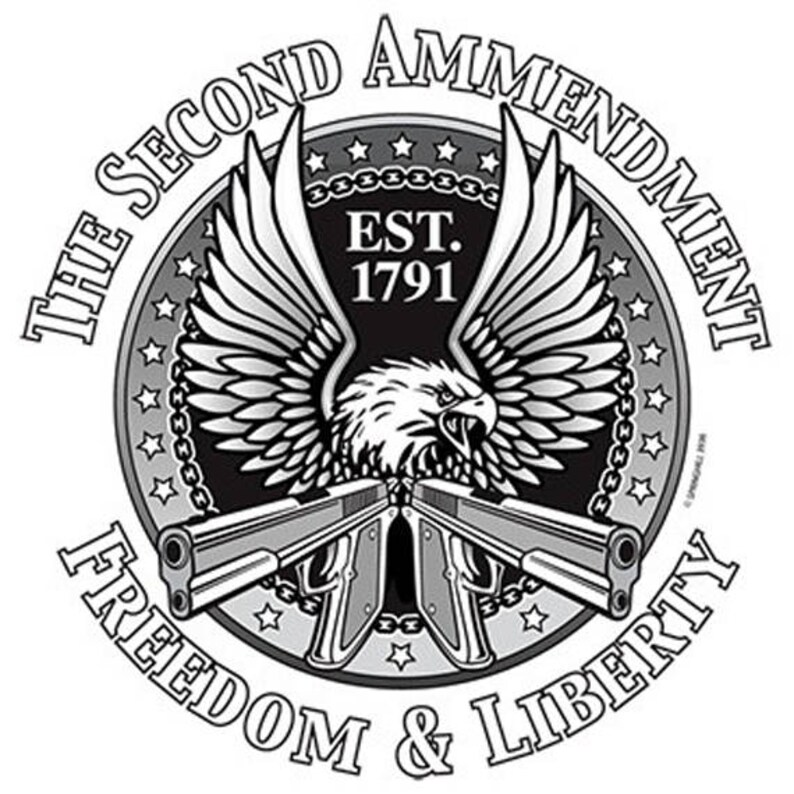 Second Amendment Established 1791 Printed Hoodie Full Zip Port | Etsy