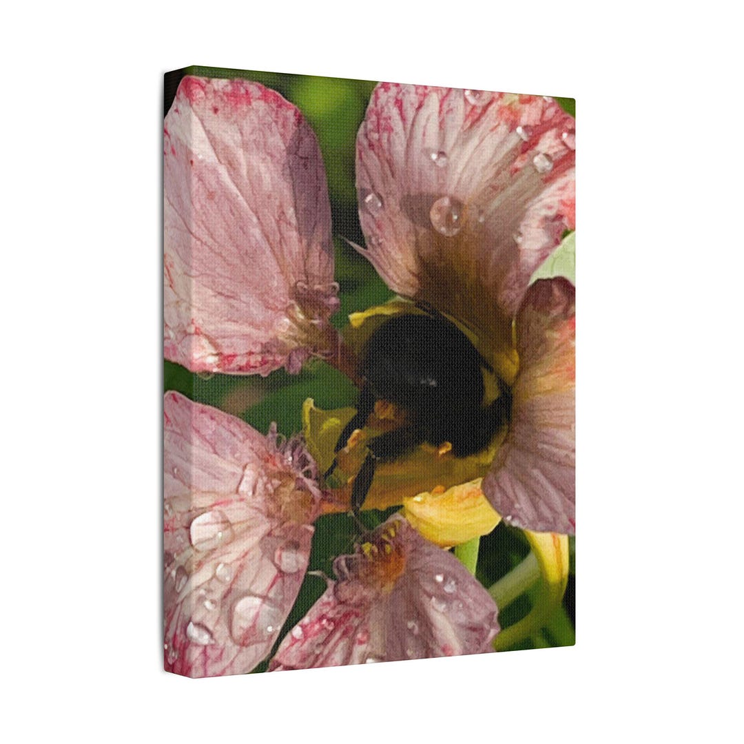 Insect Photography - Bumblebee Nasturtium Flower Satin Canvas Print - Etsy