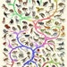 Evolutionary Biology Tree of Life Poster: Educational Nature Art - Etsy